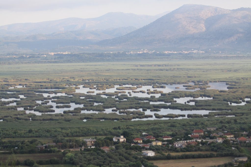 Επιστημονική παρακολούθηση – Amvrakikos gulf – Lefkada Managment Body